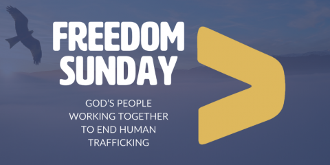 Freedom Sunday: Make a Difference for Survivors of Trafficking ...